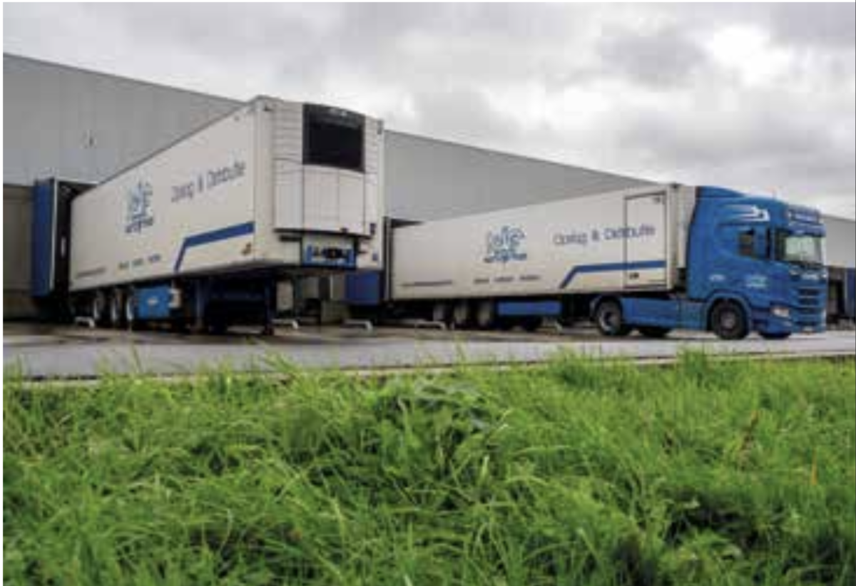 A hot spot for a cold cube - CubeCold